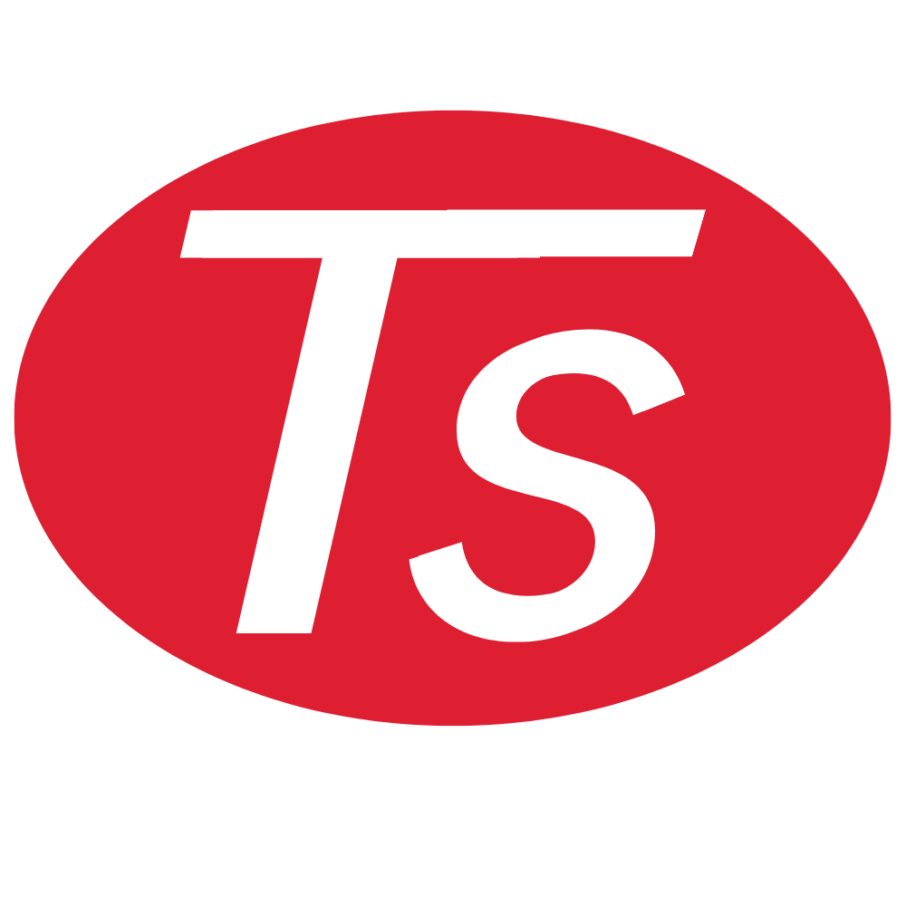 Turner Services, LLC