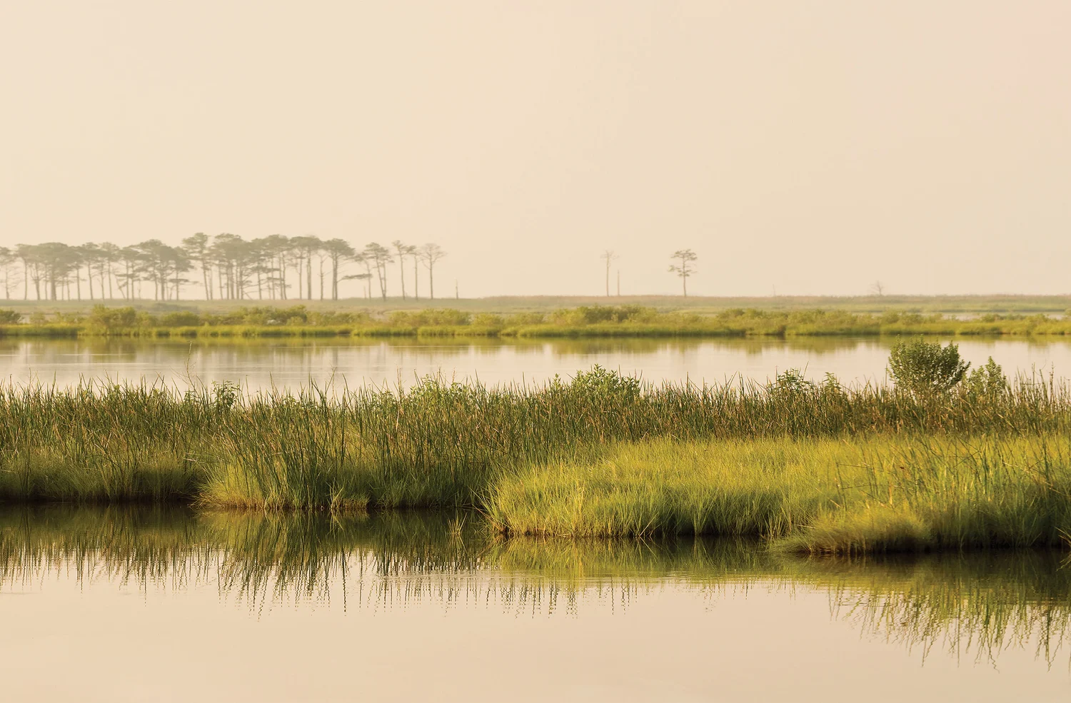 Where Land & Water Meet