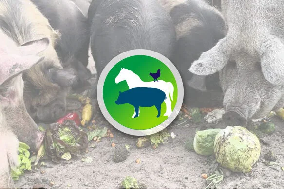 Food Services — SACA Food Shelf & Thrift Store