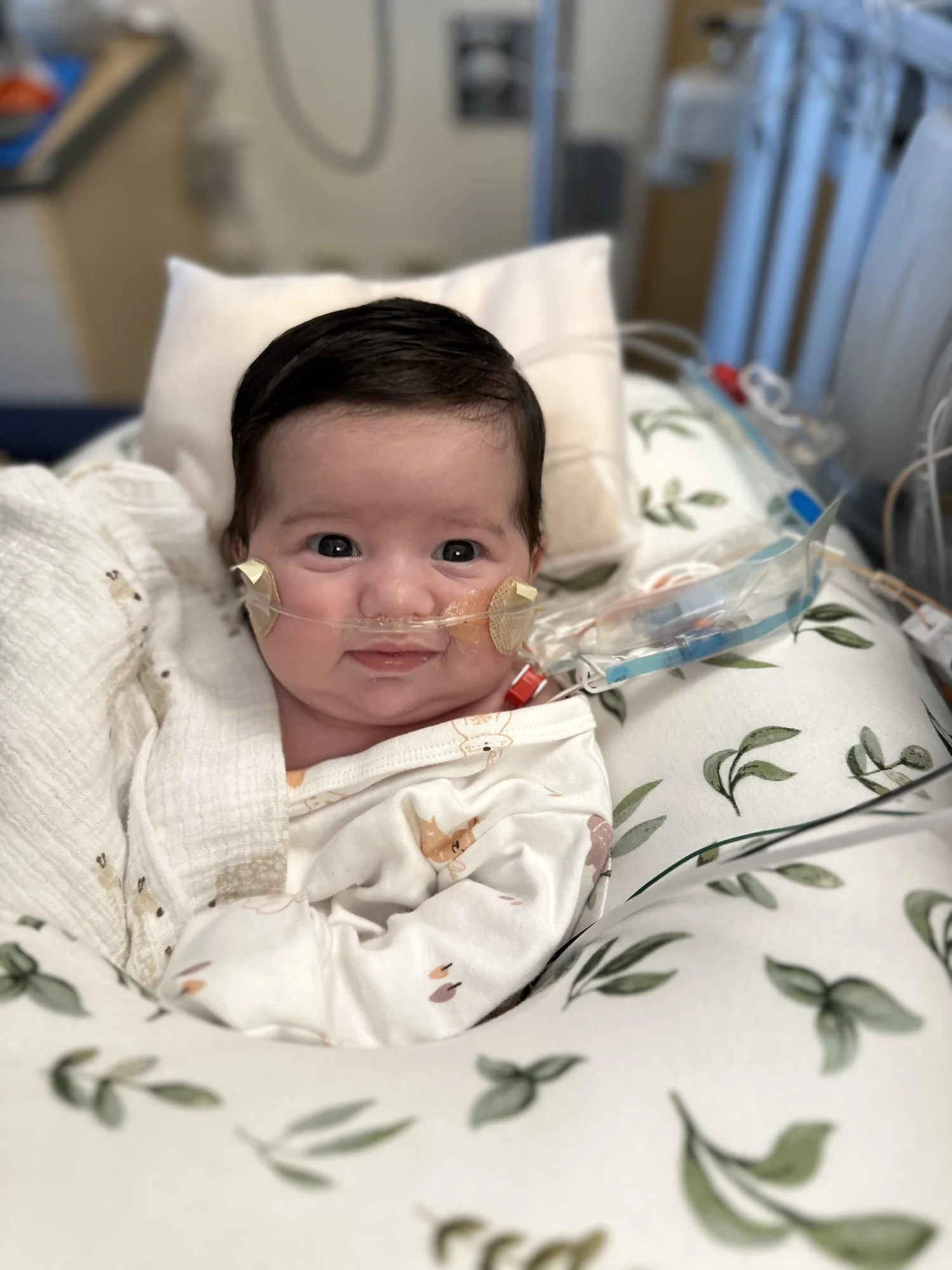 CDH Stories — Tiny Hero: Real Hope for CDH