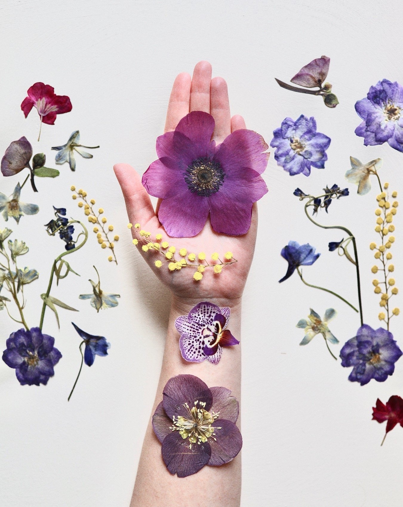 Modern Floral Preservation — Flowerly Framed