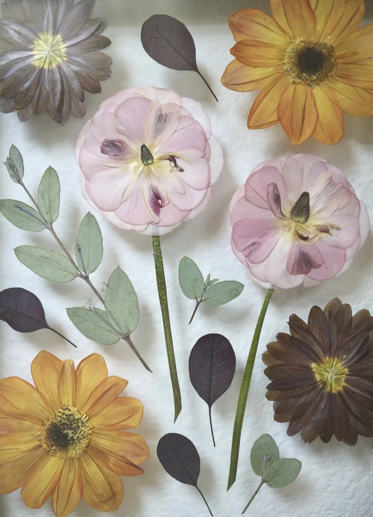 Modern Floral Preservation — Flowerly Framed