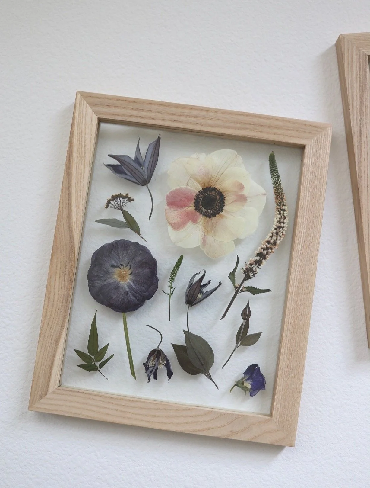 Modern Floral Preservation — Flowerly Framed