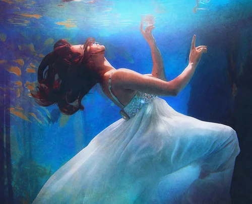 Brushstroke Pro — Code Organa