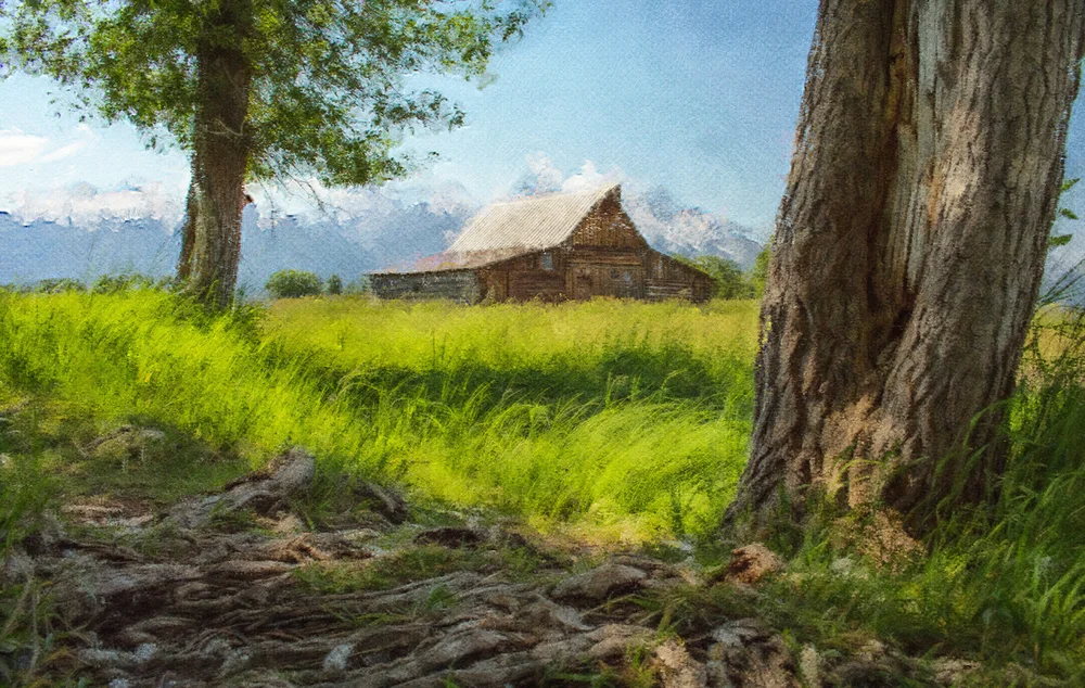 Brushstroke — Code Organa