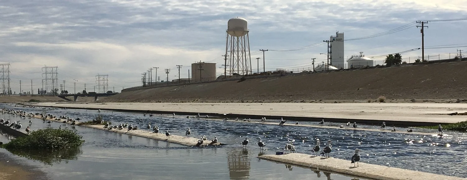 Volunteer — LAWaterkeeper | LA River Restoration | Wastewater Recycling