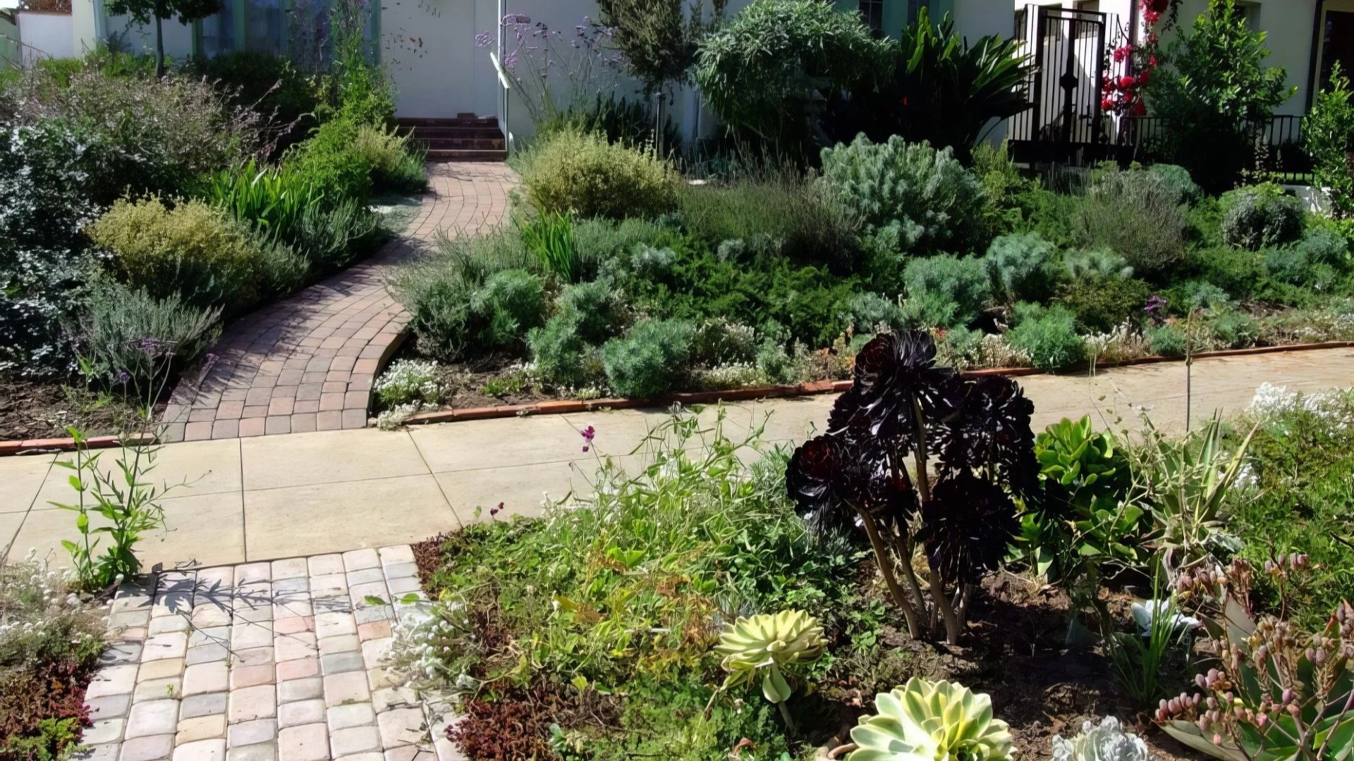 Take Action: Conserve Water — LAWaterkeeper | LA River Restoration ...