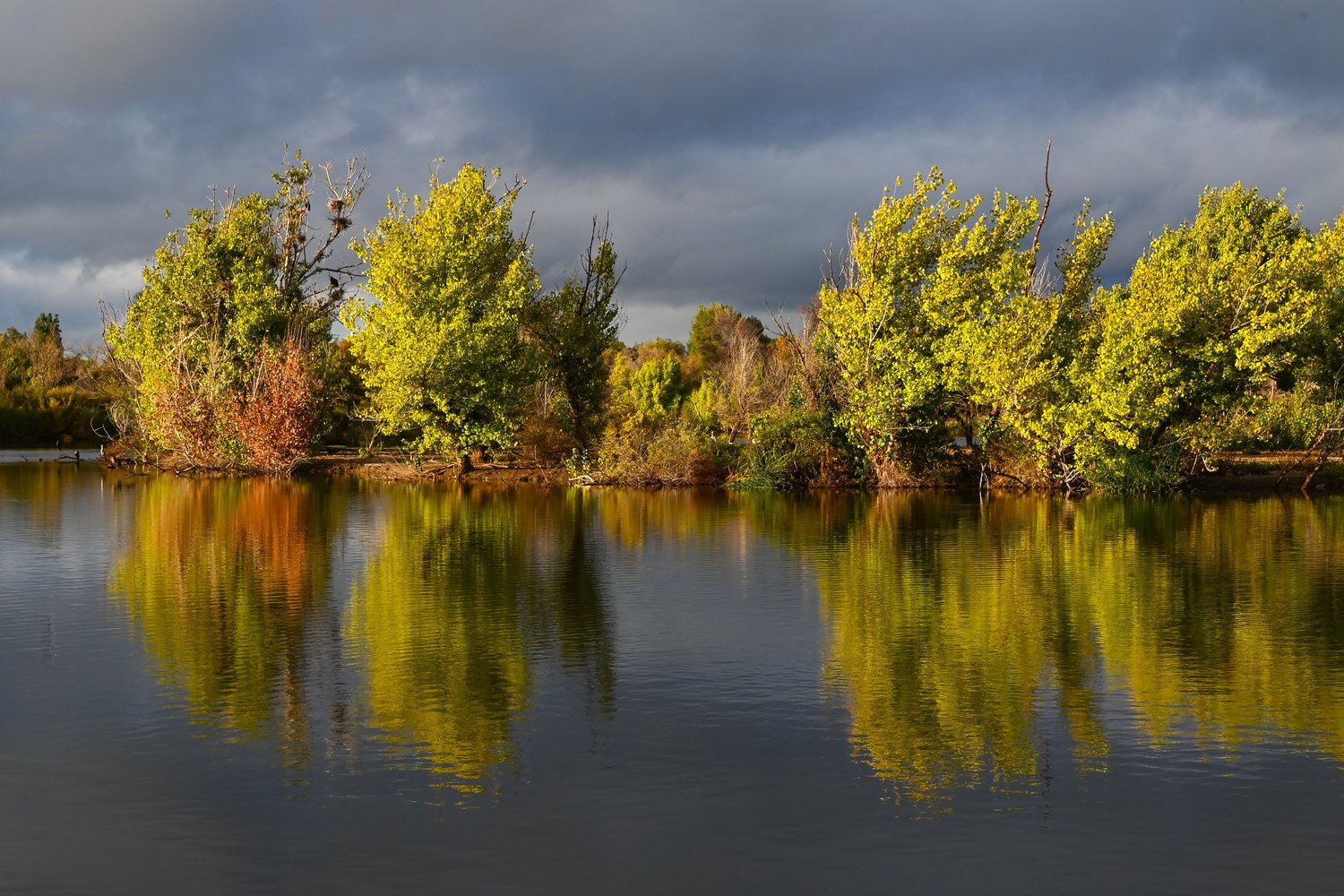 Volunteer — LAWaterkeeper | LA River Restoration | Wastewater Recycling