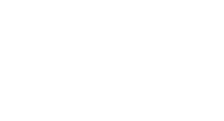 Puppy and Dog Training in Vancouver BC | Raintown Dog Training