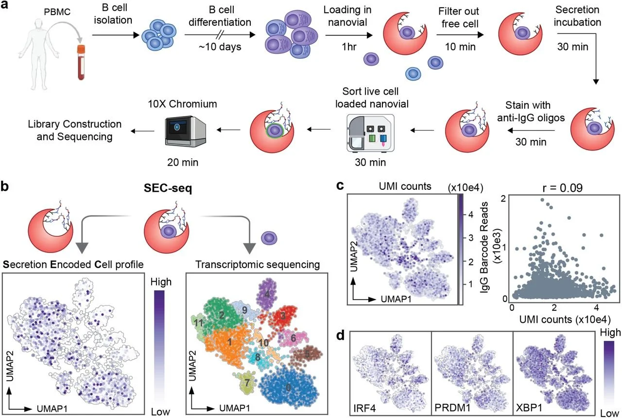 SEC-seq — Partillion Bioscience - Unlocking Functional Single Cell Biology