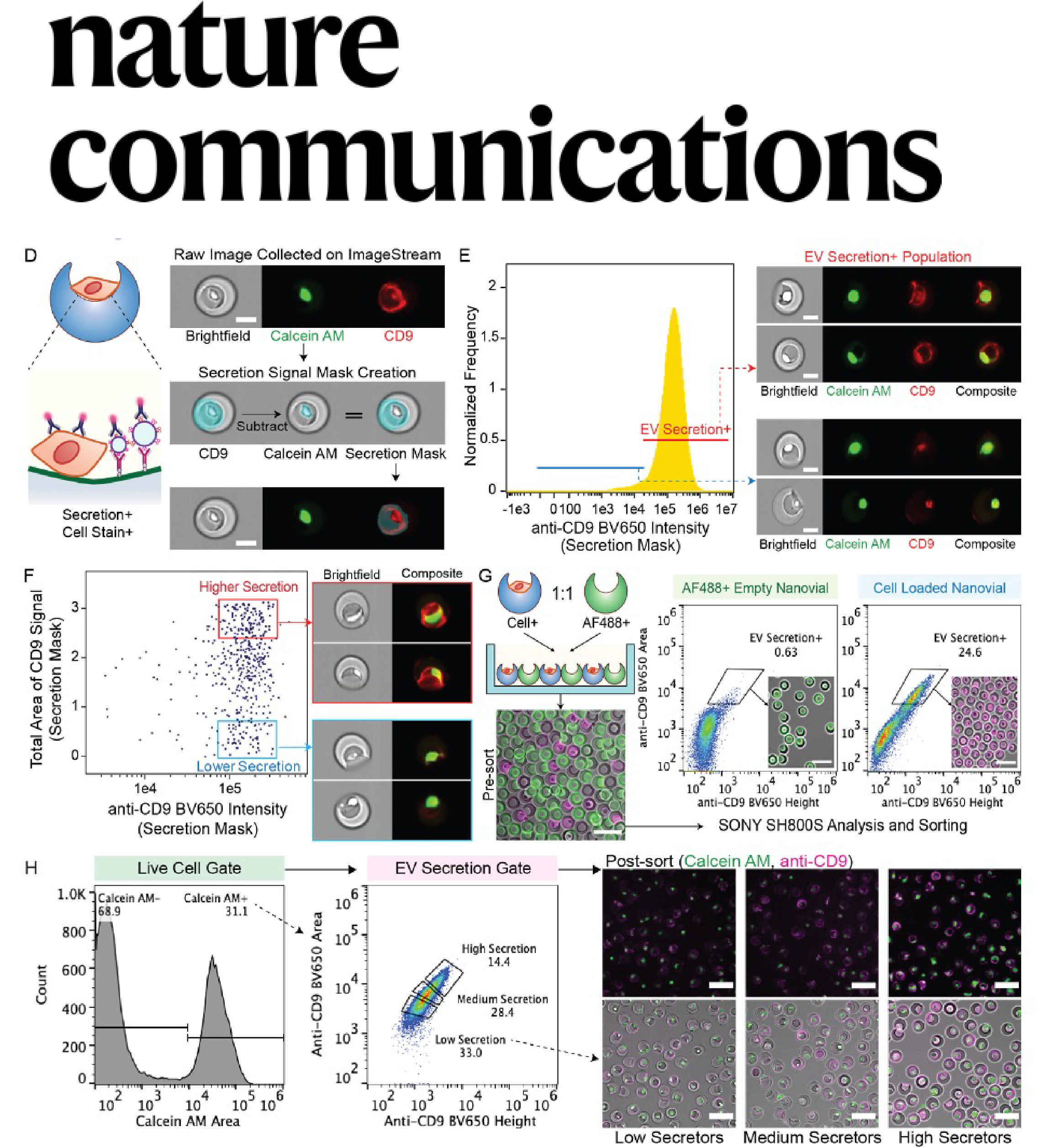 Extracellular Vesicles — Partillion Bioscience - Unlocking Functional ... Extracellular Vesicles — Partillion Bioscience - Unlocking Functional ...