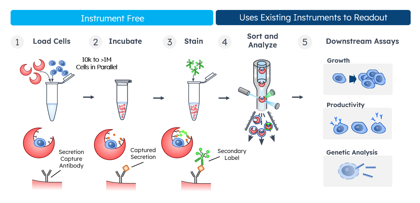 Technology — Partillion Bioscience - Unlocking Functional Single Cell ...