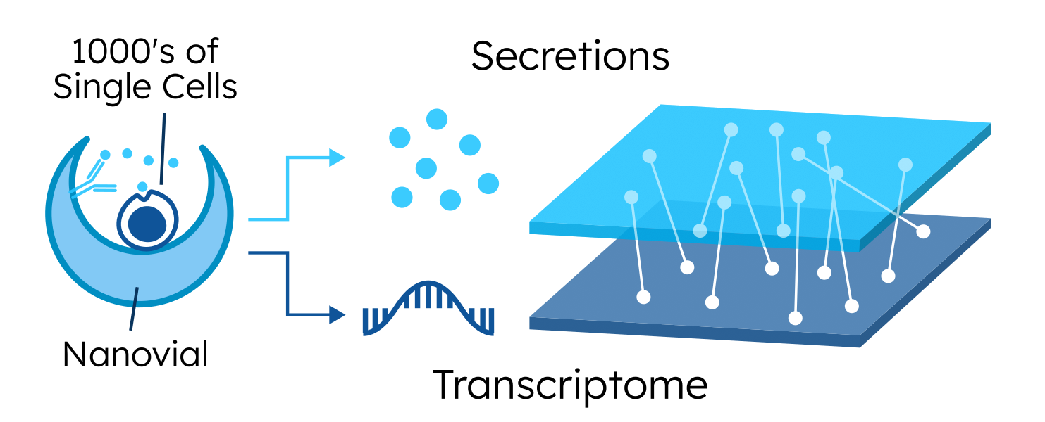 SEC-seq — Partillion Bioscience - Unlocking Functional Single Cell Biology