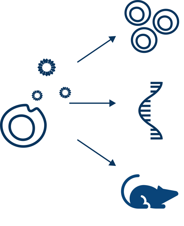 Extracellular Vesicles — Partillion Bioscience - Unlocking Functional ... Extracellular Vesicles — Partillion Bioscience - Unlocking Functional ...