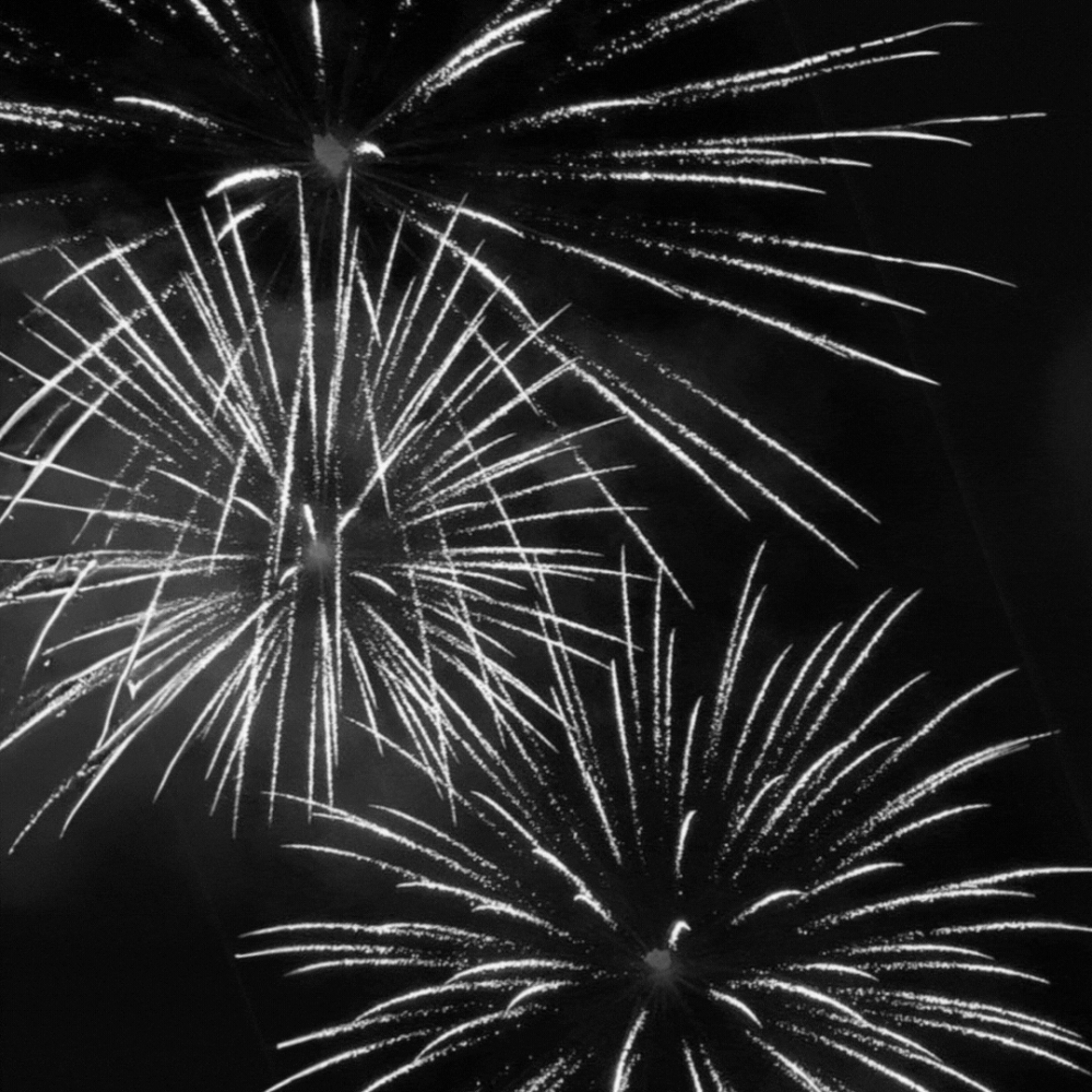 What's On - Promotions and Specials | LILYMU