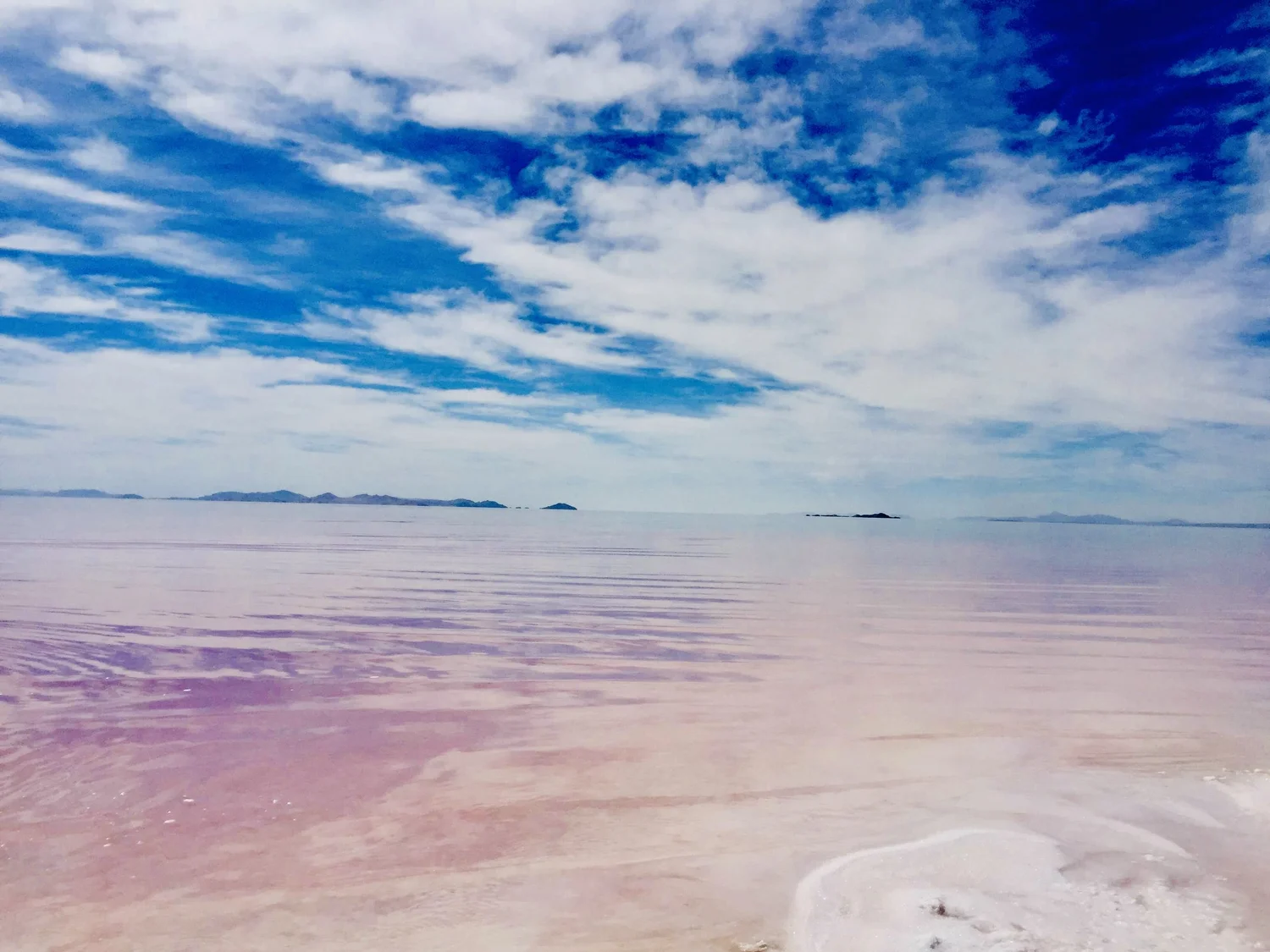 The Great PINK Salt Lake of Northern Utah — The Ogdenite