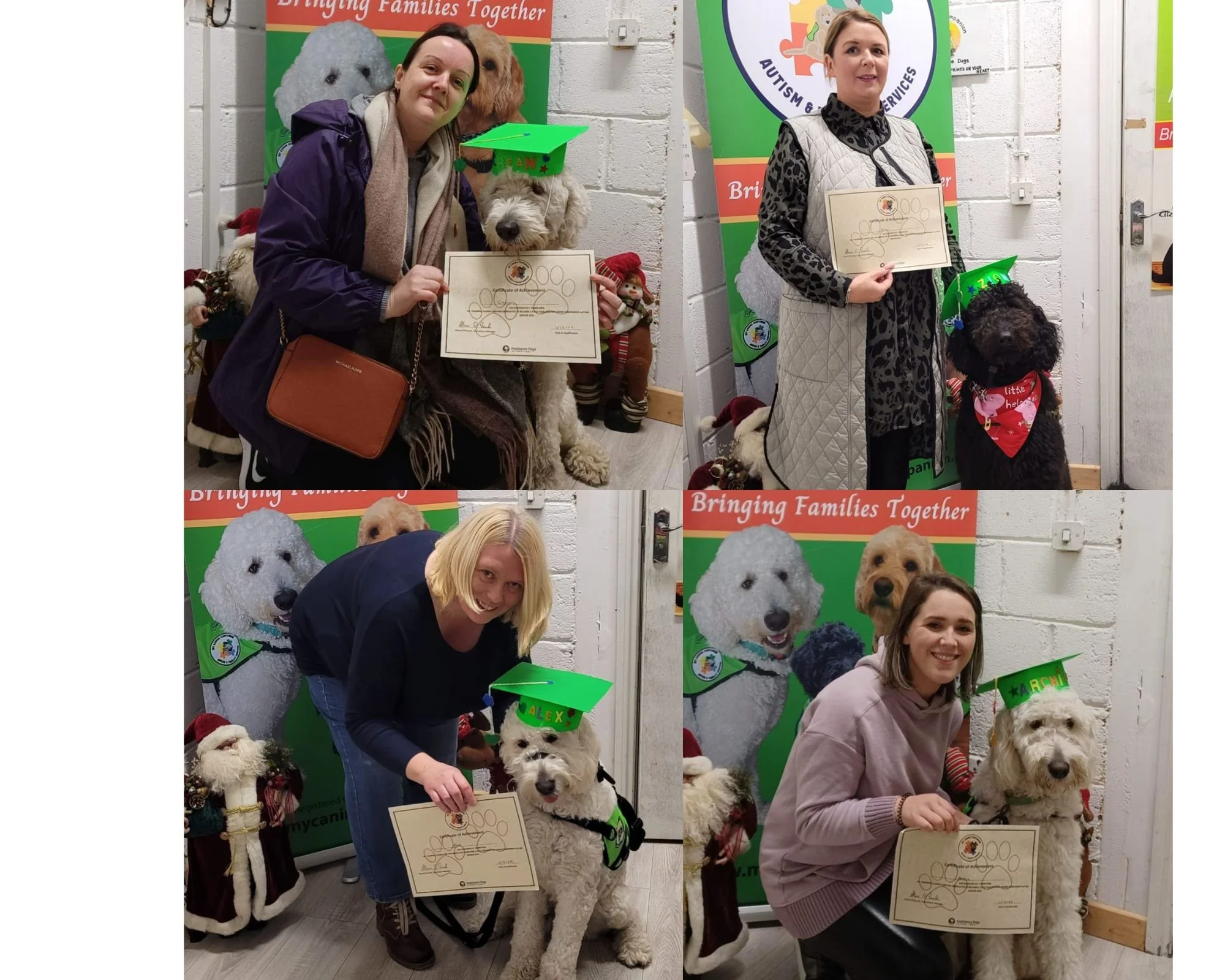 Blog — My Canine Companion