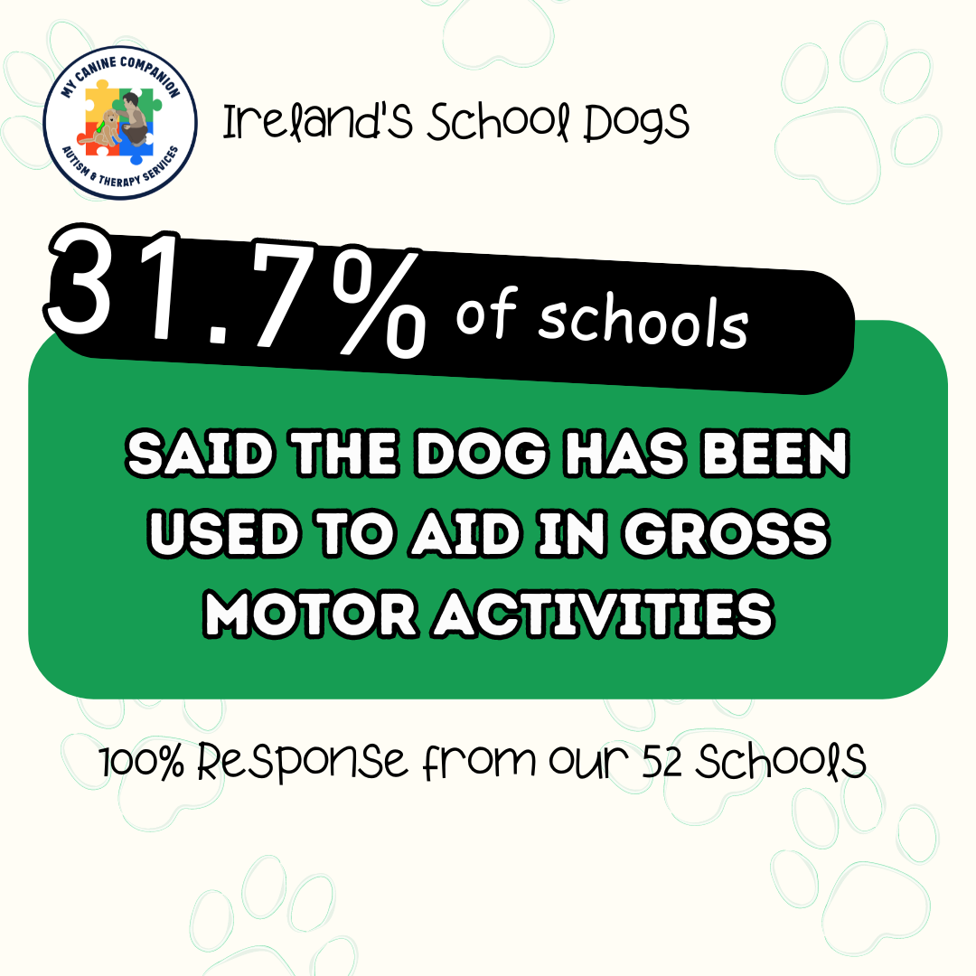 MCC School Therapy Dog Programme — My Canine Companion