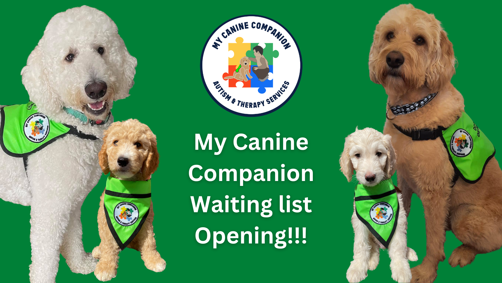 Thank you for your continued support in 2022 — My Canine Companion