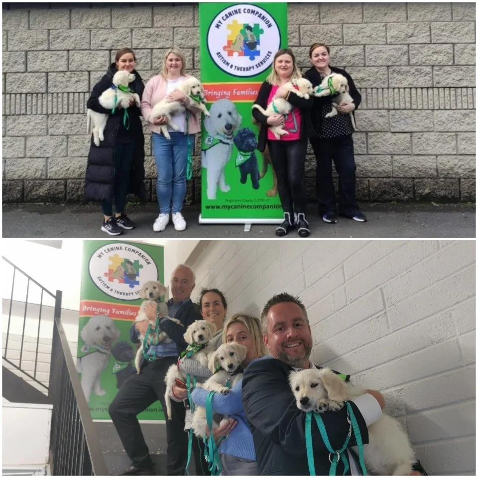 Congratulations to our new families and schools — My Canine Companion