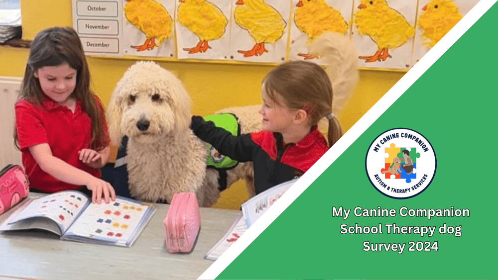 MCC School Therapy Dog Programme — My Canine Companion