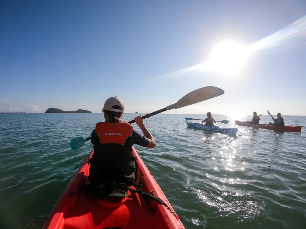 6 Reasons why you need to go Kayaking Palm Cove with Pacific ...