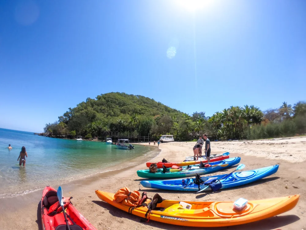 6 Reasons why you need to go Kayaking Palm Cove with Pacific ...
