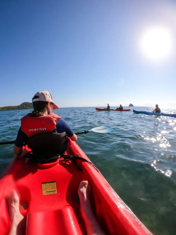 6 Reasons why you need to go Kayaking Palm Cove with Pacific ...