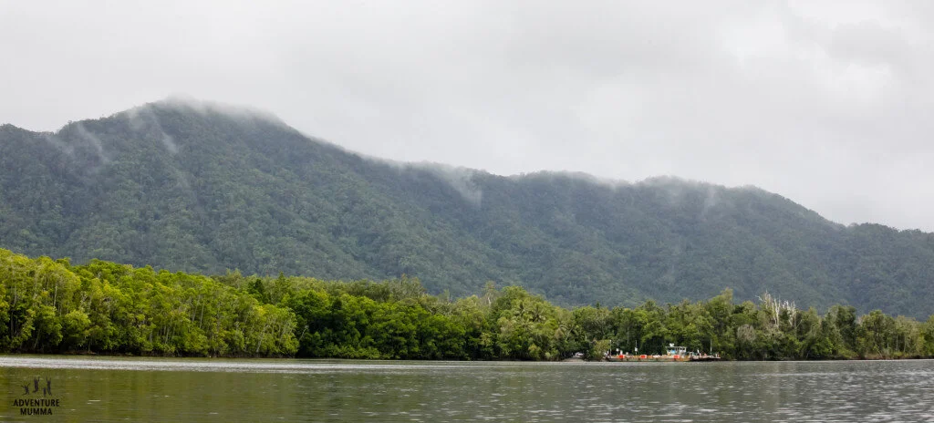 5 Reasons Why you Need to do a Daintree River Cruise — Adventure Mumma