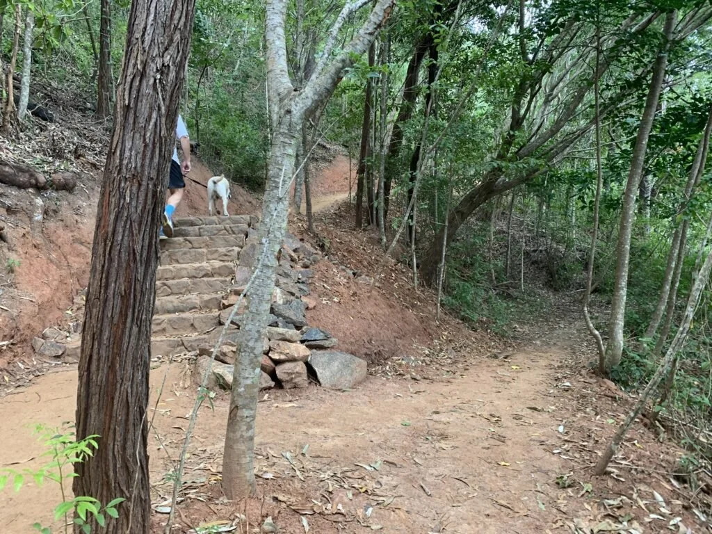 4 Quick climbs around Cairns for some Cool Views — Adventure Mumma