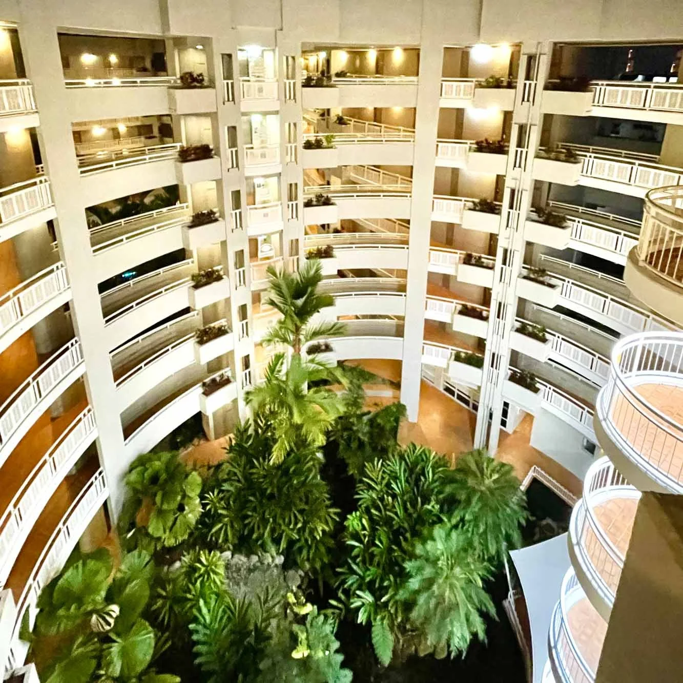 Doubletree Cairns and Cairns Hilton - Family Friendly Accommodation ...