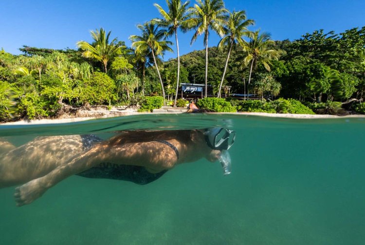 Why Snorkelling at Fitzroy Island Feels like a Dream — Adventure Mumma