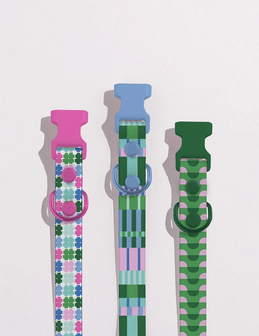 Painted Geos — Gabrielle Neil