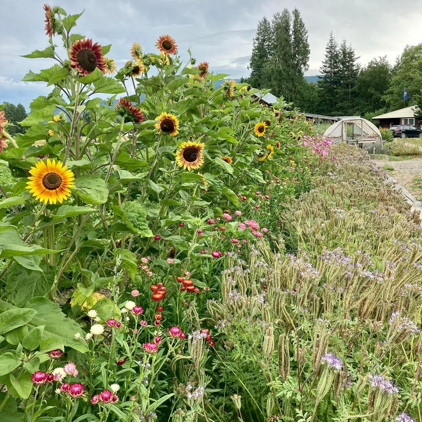 Small Acres