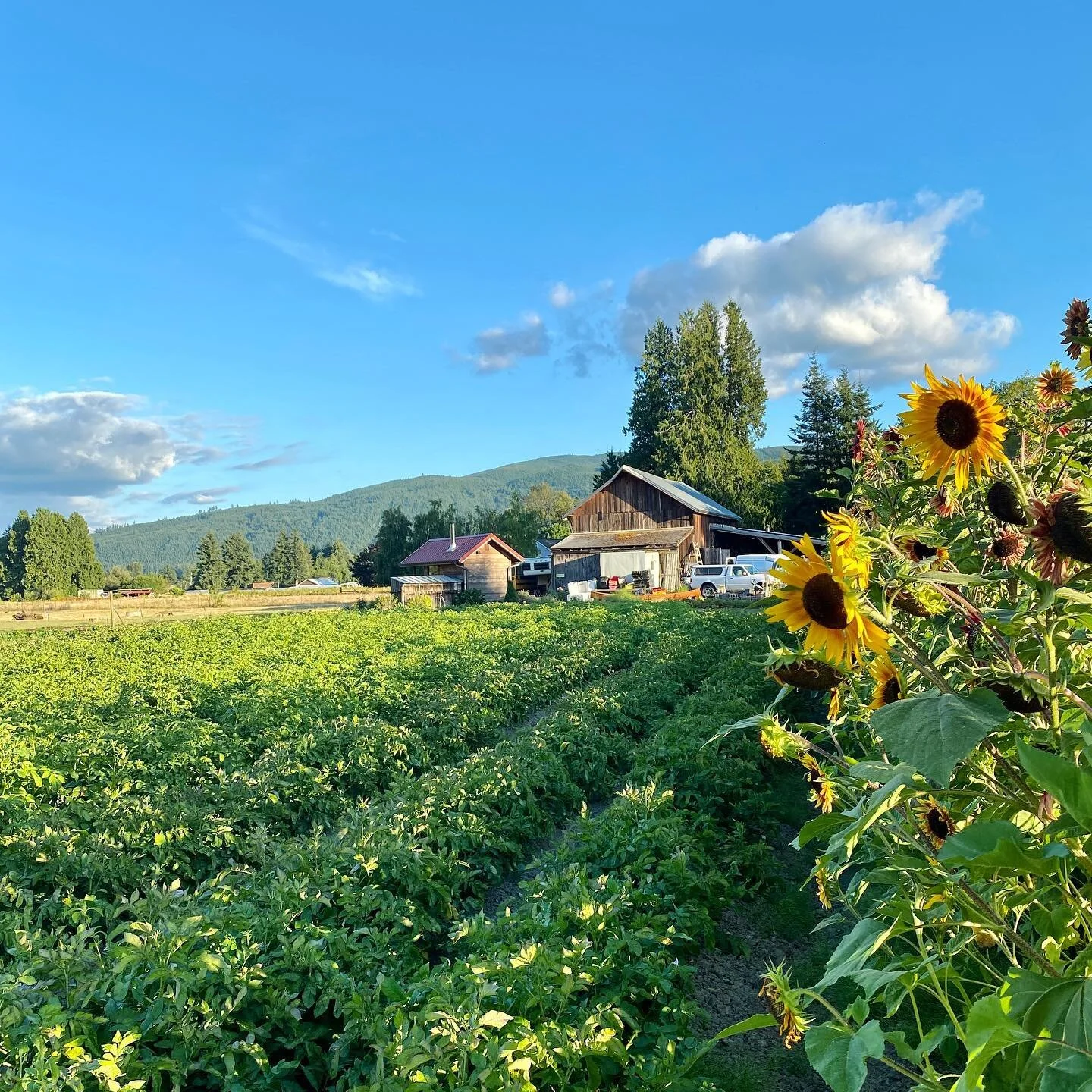Small Acres