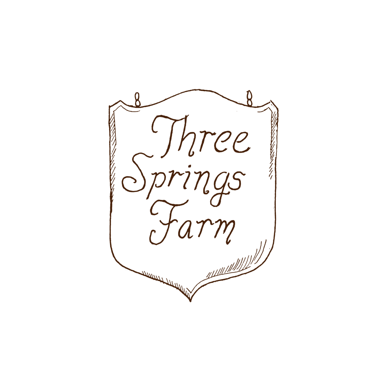Three Springs Ministries