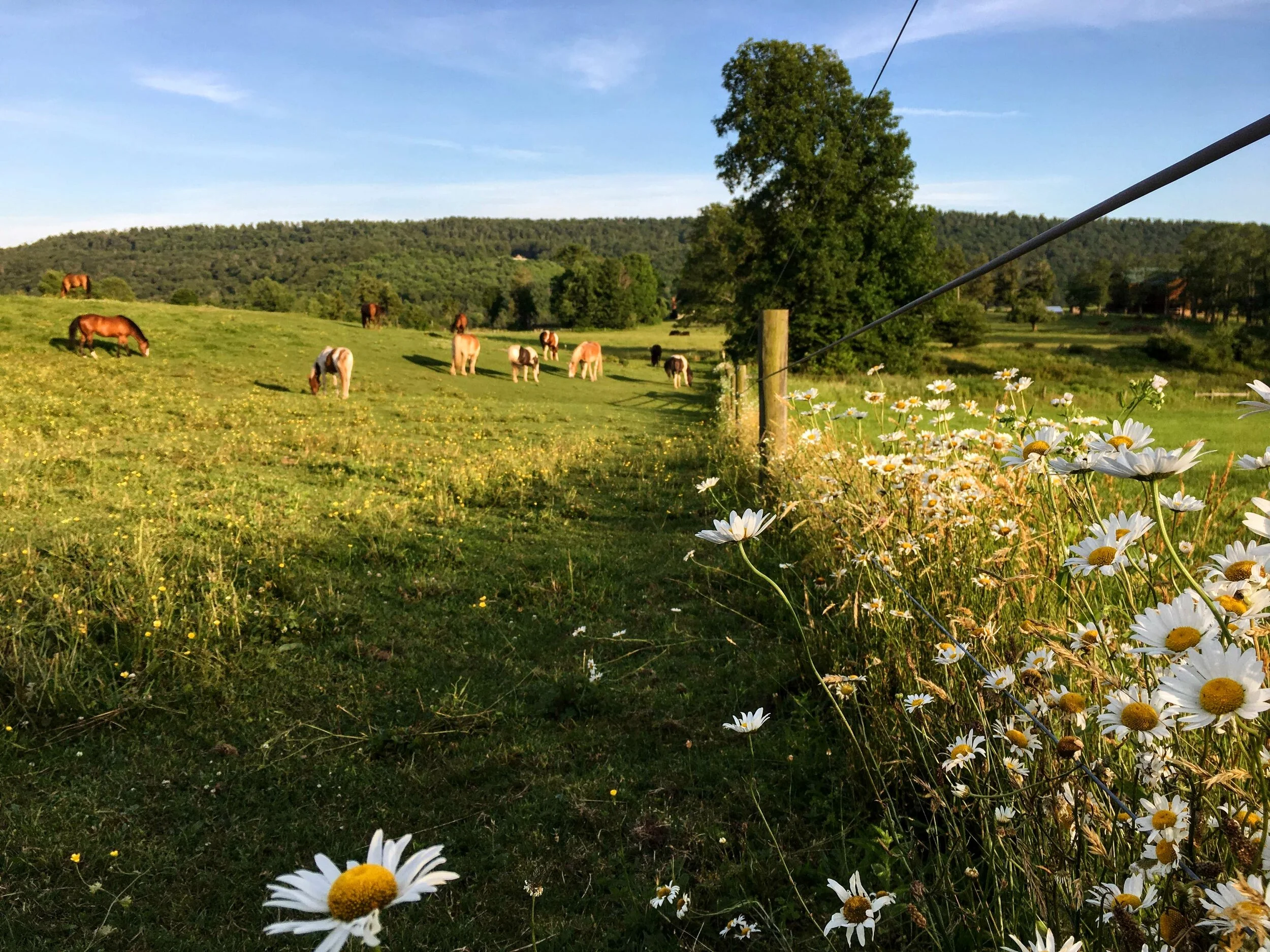 Facility — Three Springs Ministries