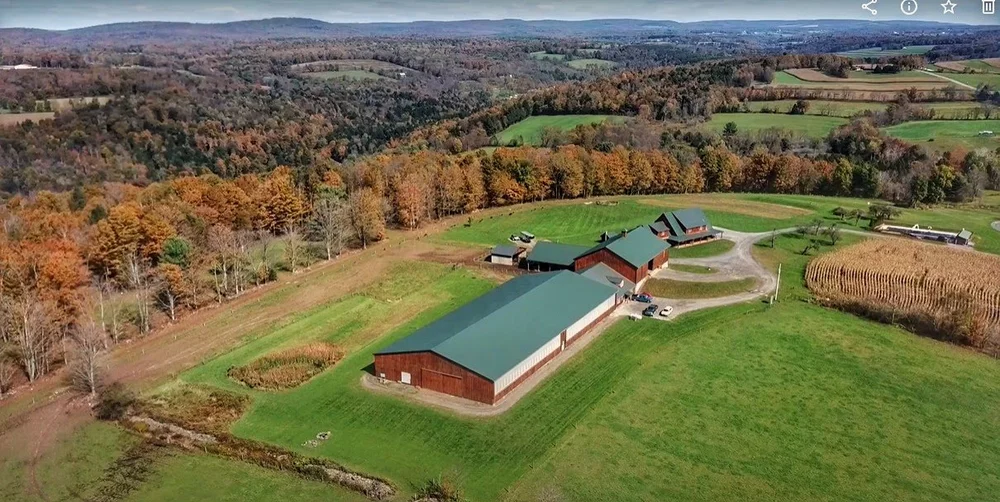 Three Springs Ministries