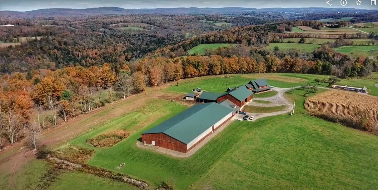 Three Springs Ministries