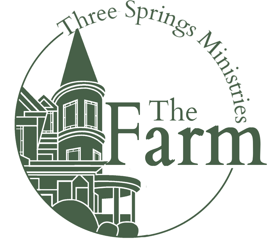 About — Three Springs Ministries