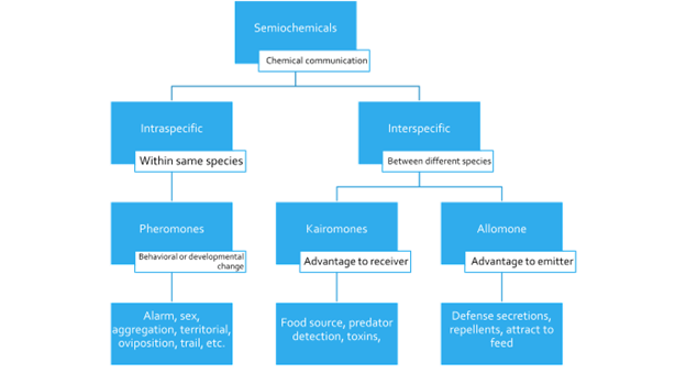 What Are Pheromones? — Insects Limited