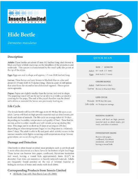 Insect Monitoring Guidelines