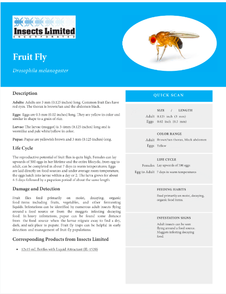 Insect Monitoring Guidelines