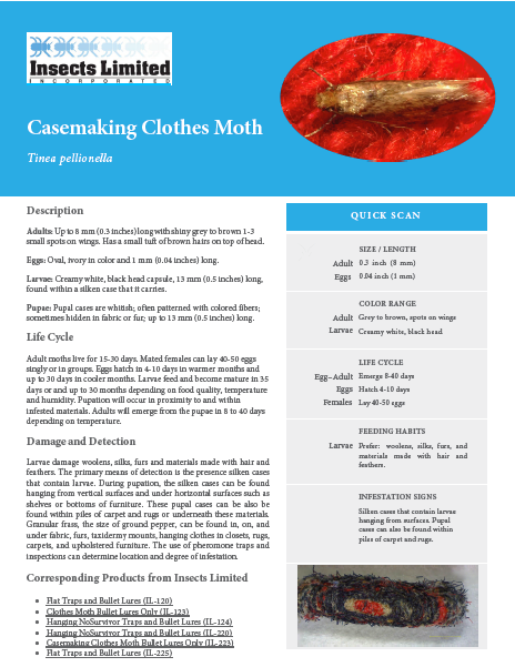 Casemaking Clothes Moth