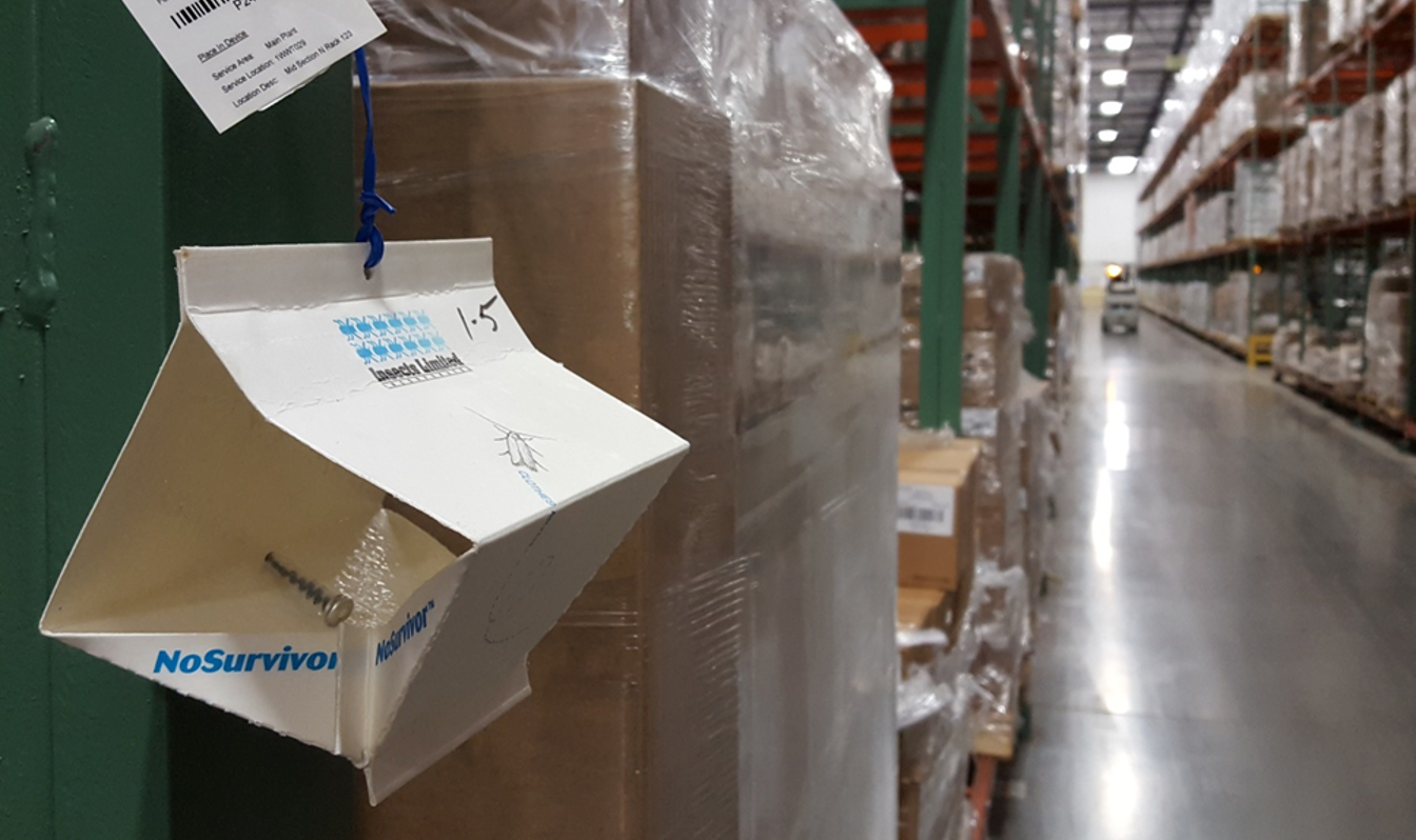 Pest Management Professionals — Insects Limited