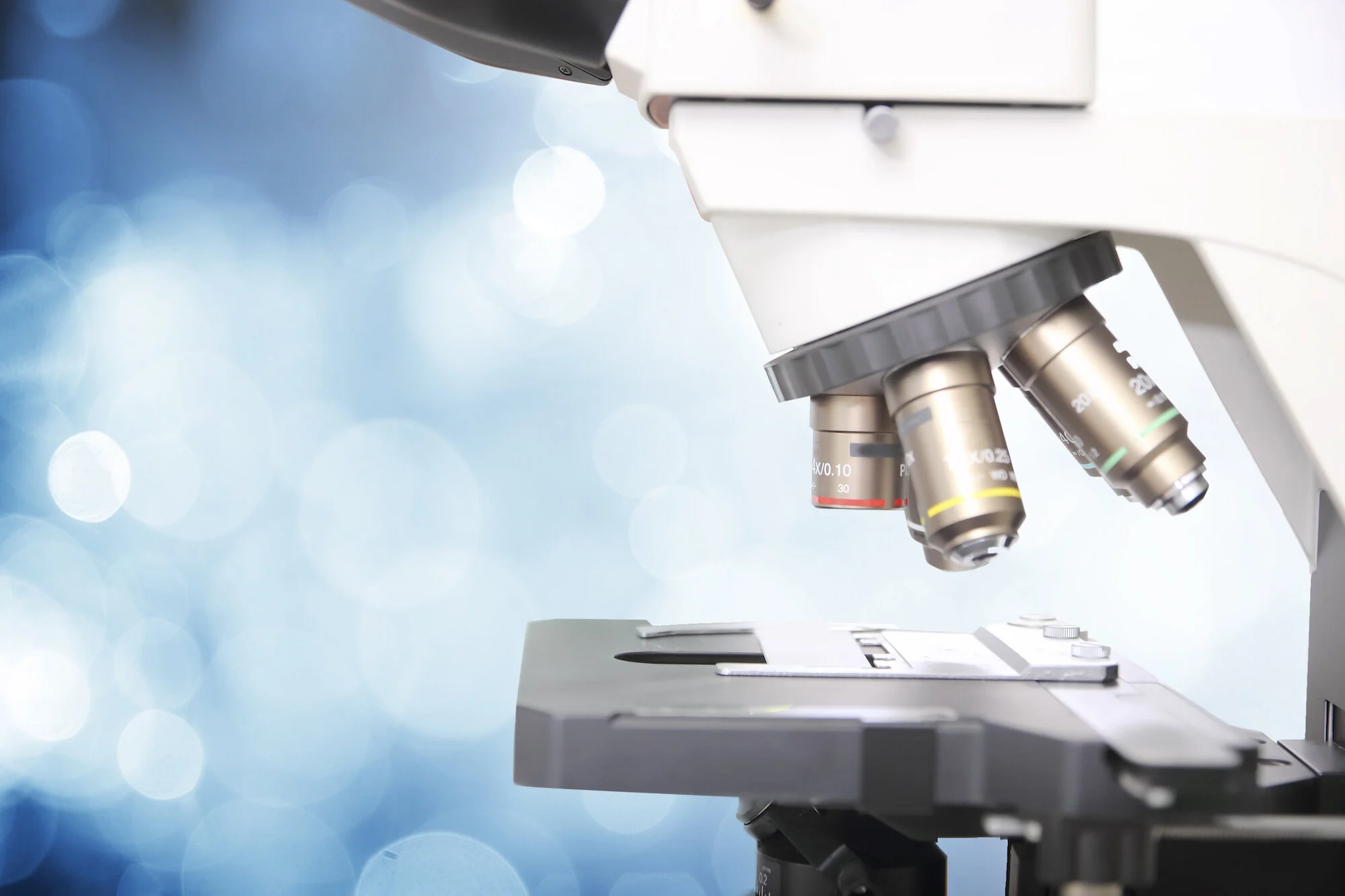 Pheromones & Trapping Systems | Insects Limited
