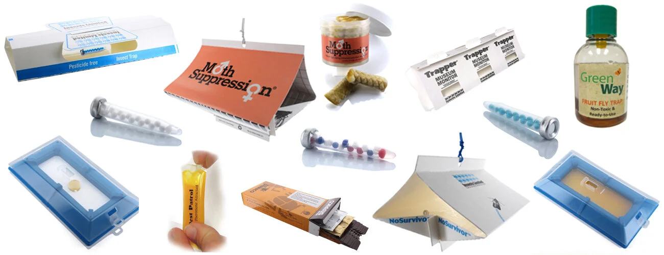 Pheromones & Trapping Systems | Insects Limited
