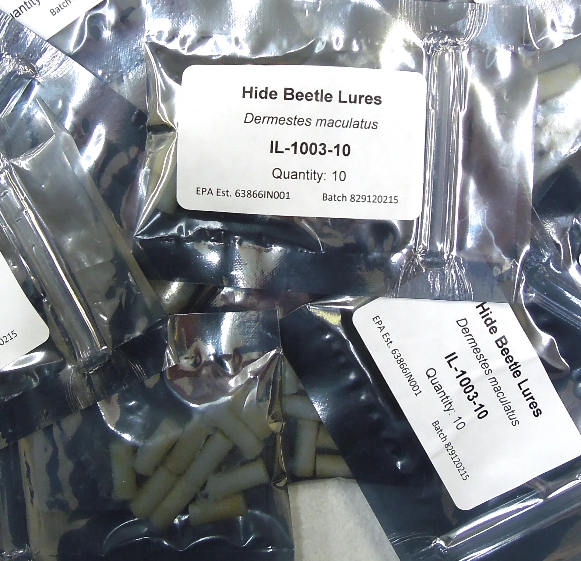 All Beetle AA Carpet Beetle Kit