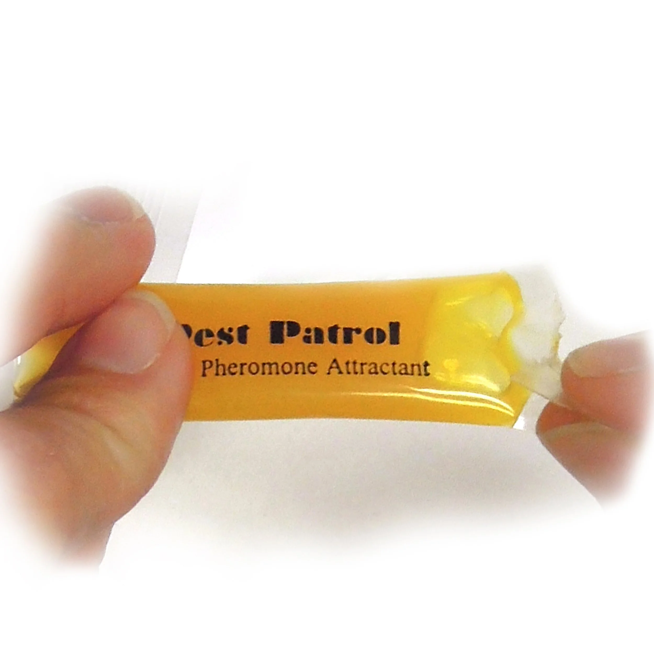 PTL Multi-Species Bullet Lure, Moths & Beetles