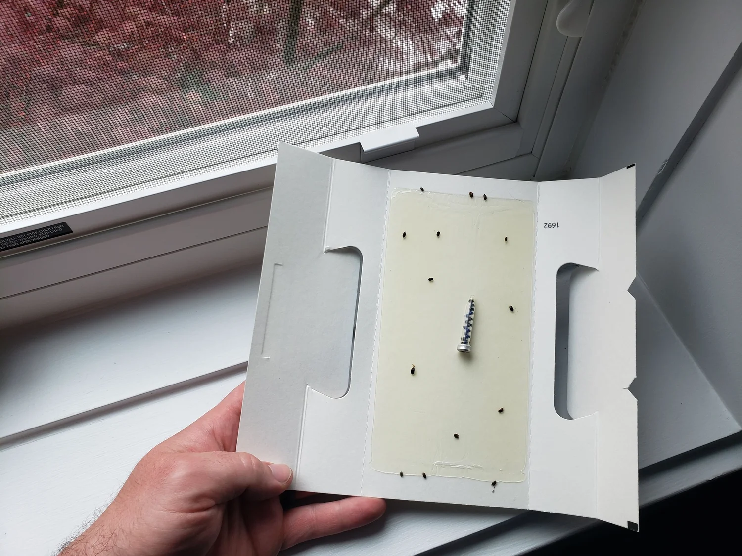 Pantrol Patrol Insect Trap